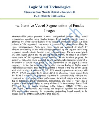 Iterative vessel segmentation of fundus images | PDF