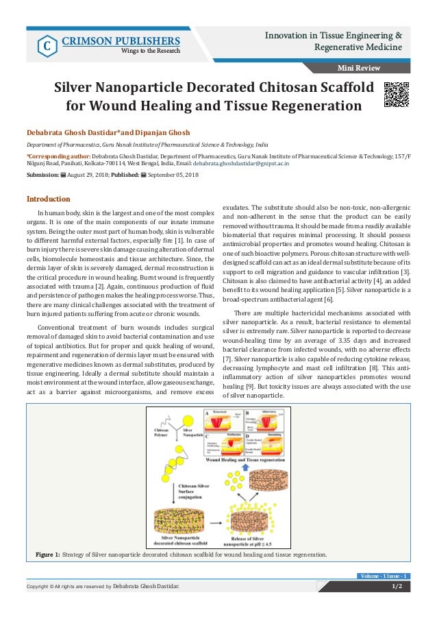 Silver Nanoparticle Decorated Chitosan Scaffold for Wound Healing and Tissue Regeneration ...