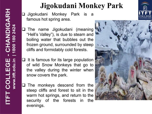 ITFT- case study japan | PPTX | Currencies | Economy