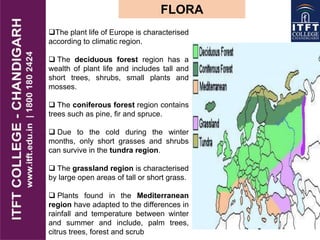 ITFT- europe physical features.. | PPTX