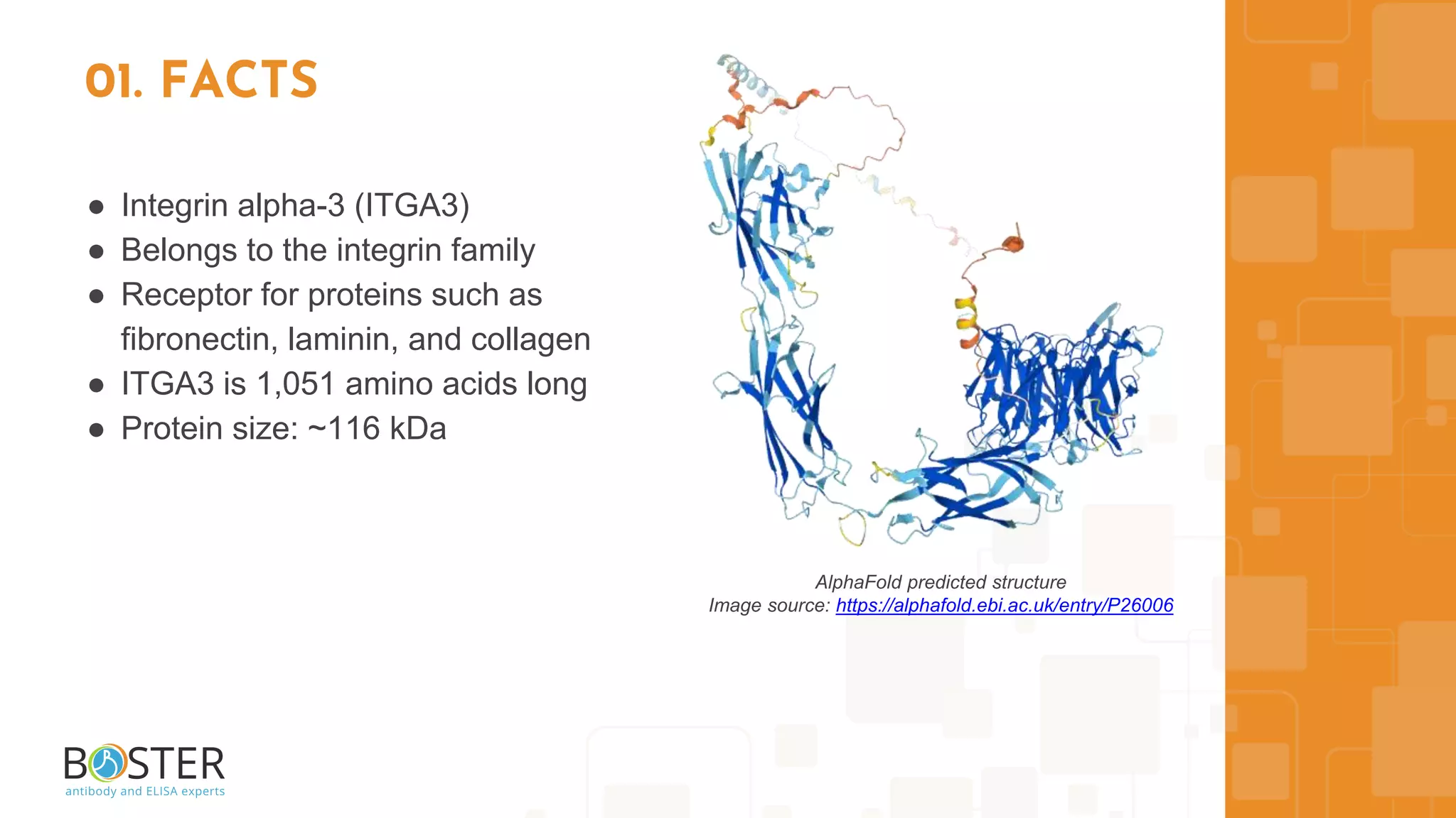 Learn ITGA3 in 3 minutes | Integrin alpha-3 | PPT
