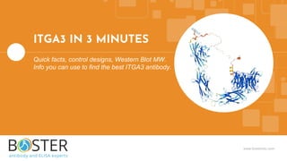 Learn ITGA3 in 3 minutes | Integrin alpha-3 | PPT