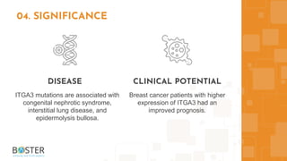 Learn ITGA3 in 3 minutes | Integrin alpha-3 | PPT