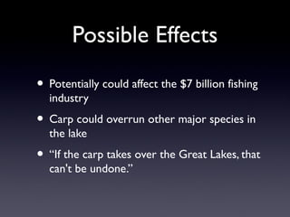 Itgs keynote asian carp | PPT