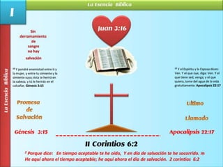 the essence of the bible | PPTX