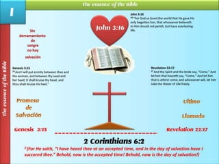 the essence of the bible | PPTX