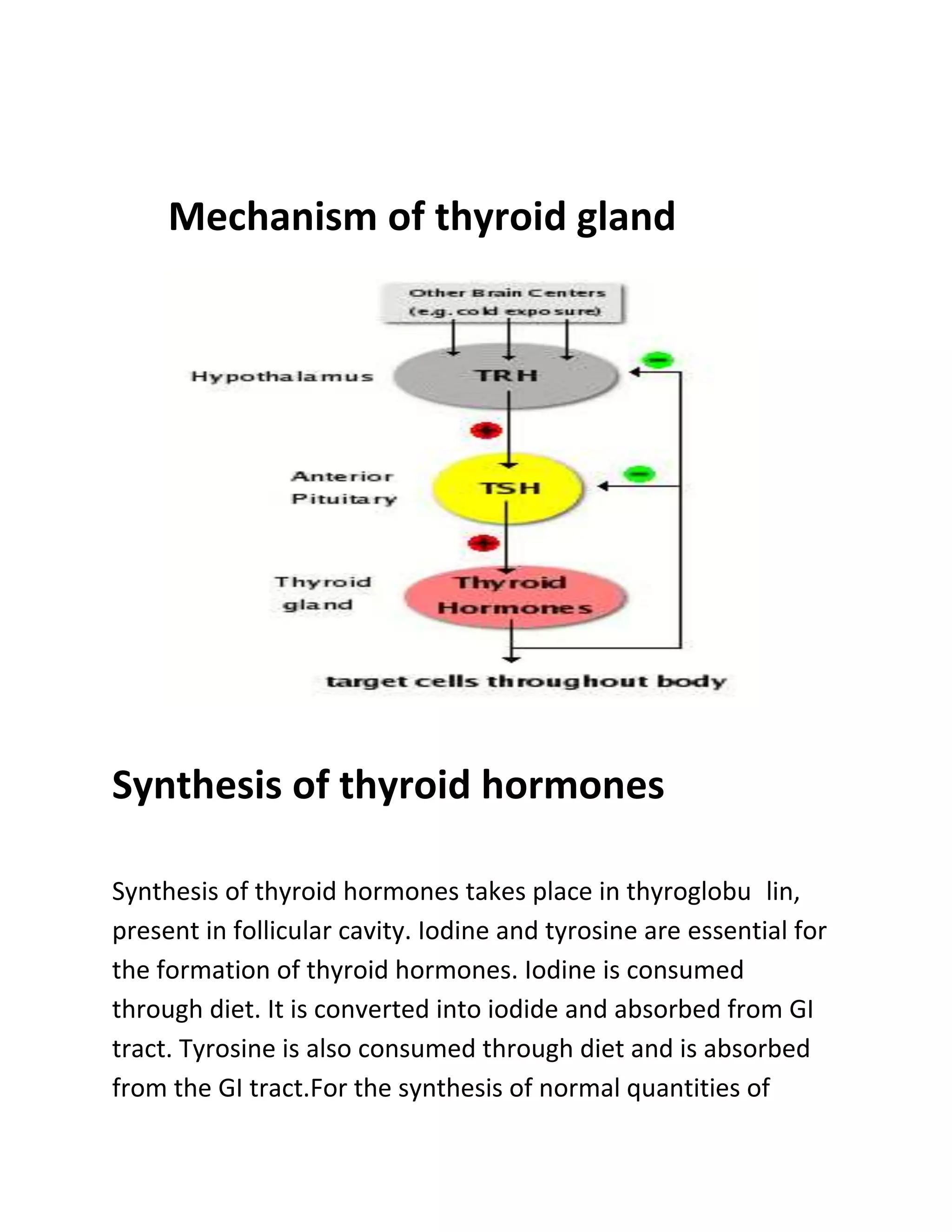 Ithyroid gland, functions and clinical correlation .doc | Thyroid ...