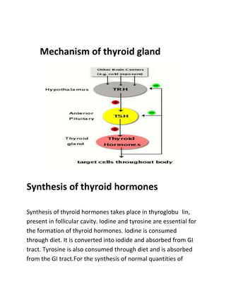 Ithyroid gland, functions and clinical correlation .doc