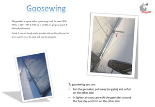 Itiki gennaker | PPT