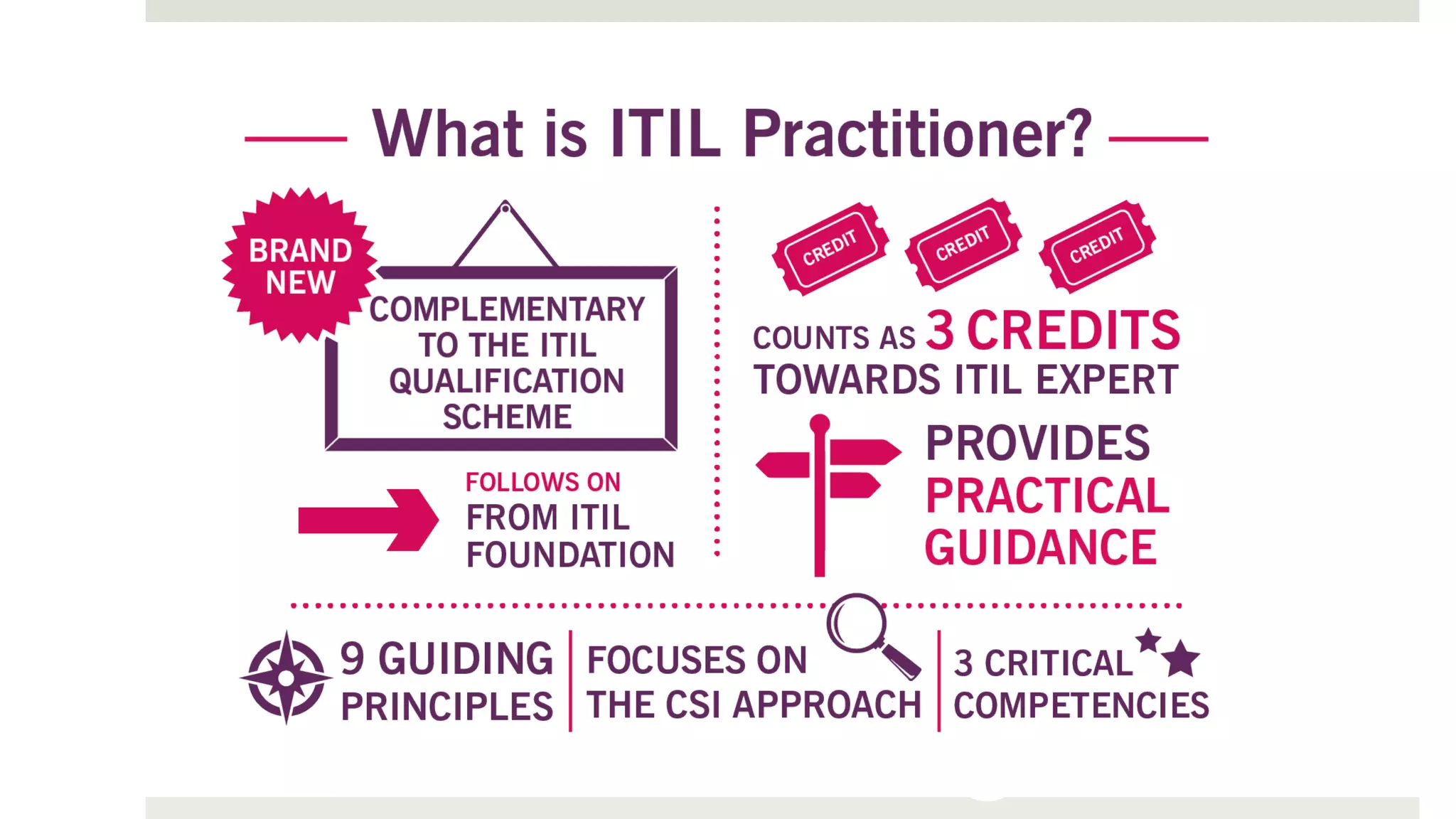 ITIL Practitioner | PDF