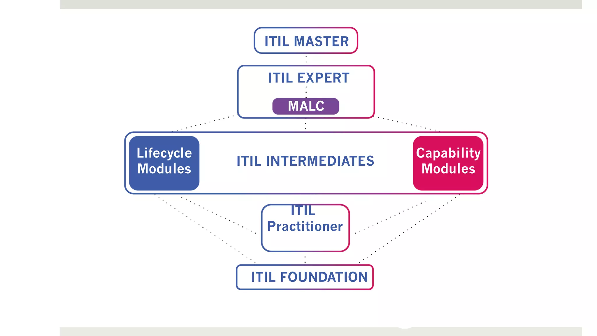ITIL Practitioner | PDF