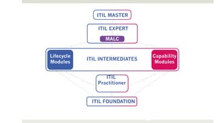 ITIL Practitioner | PDF