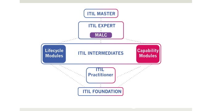 ITIL Practitioner | PDF