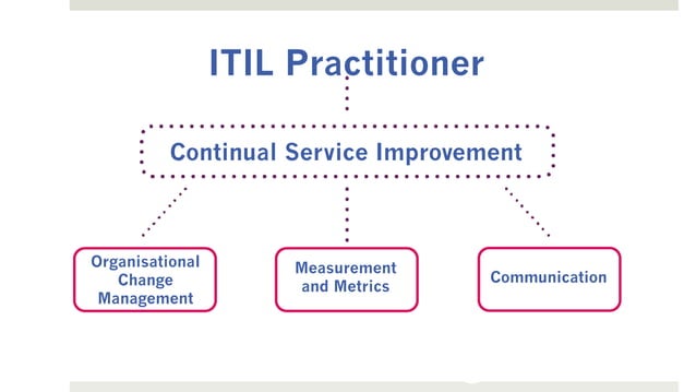ITIL Practitioner | PDF