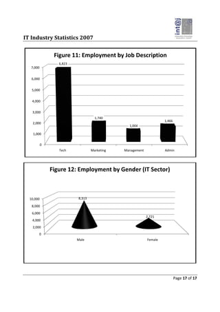 IT Industry Statistics 2007 Final Report | PDF