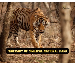 Itinerary of Similipal National Park.pdf