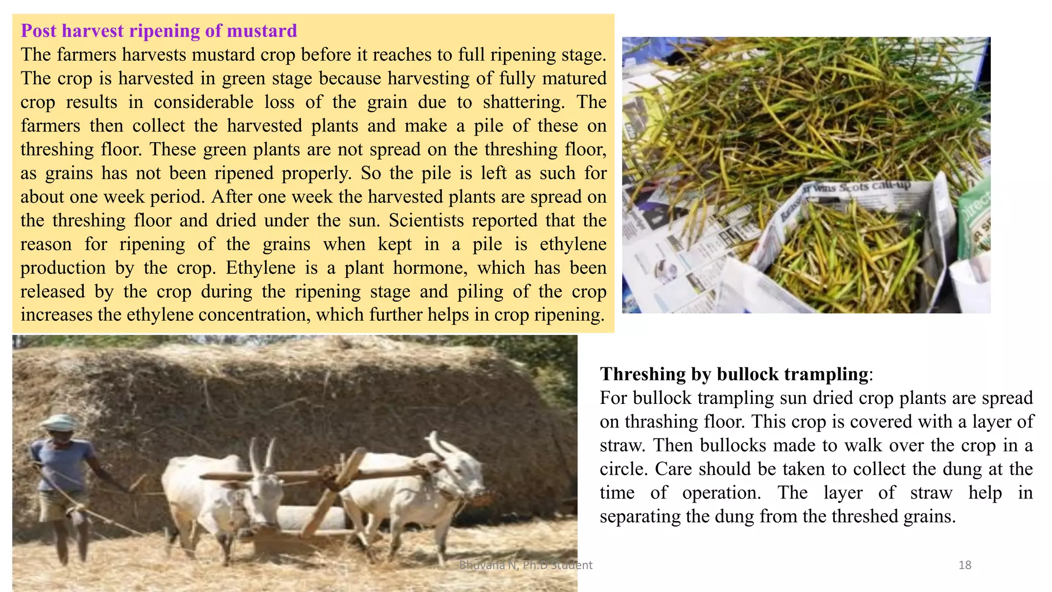 Indigenous Knowledge Systems for Agriculture | PDF