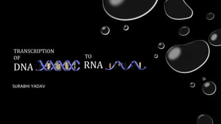 Transcription of DNA to RNA using python programming | PPTX