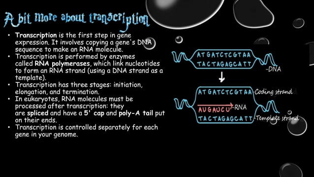 Transcription of DNA to RNA using python programming | PPTX | Chemistry | Science