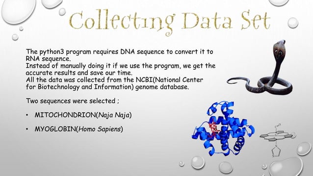 Transcription of DNA to RNA using python programming | PPTX | Chemistry ...