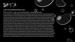 Transcription of DNA to RNA using python programming | PPTX