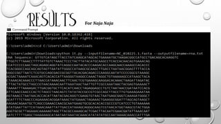 Transcription of DNA to RNA using python programming | PPTX