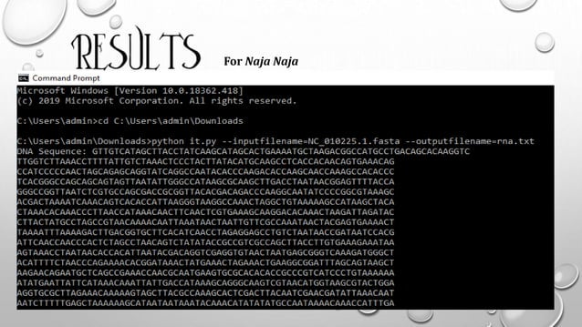 Transcription of DNA to RNA using python programming | PPTX | Chemistry | Science