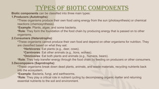 INFORMATION TECHNOLOGY IN TODAY'S ERA AND YOUTH | PPT