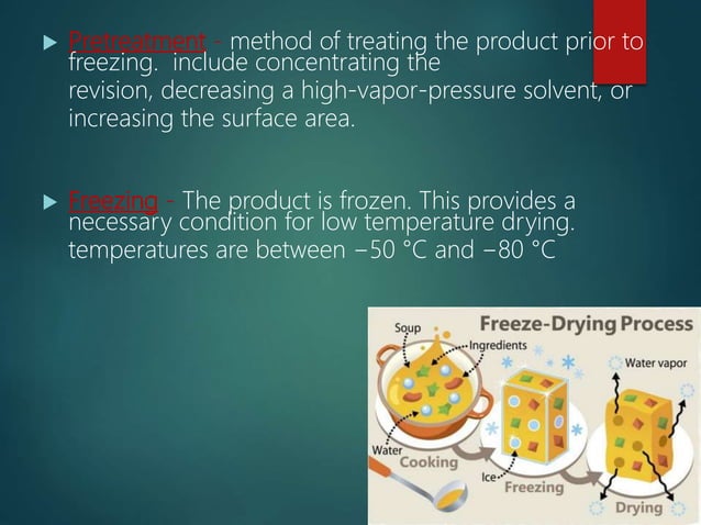 Itnesh kumar freeze drying | PPT