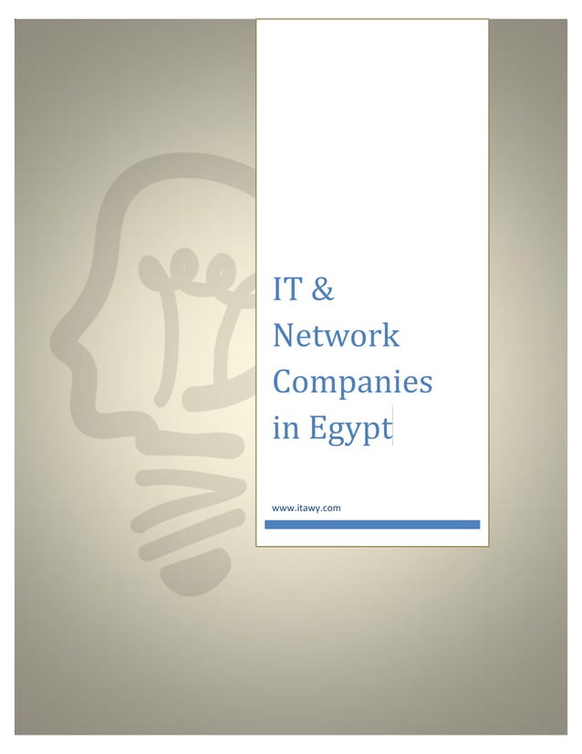 IT & Network Companies in Egypt | PDF