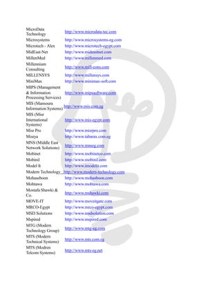 IT & Network Companies in Egypt | PDF