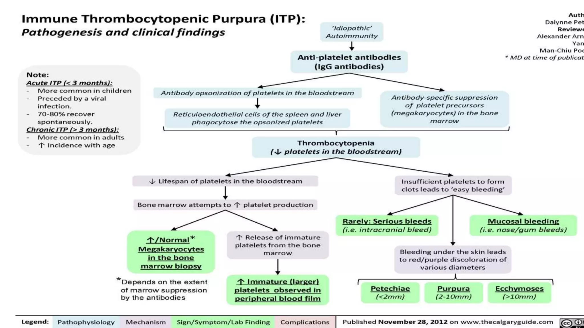 ITP (Immune Thrombocytopenia) | PPTX