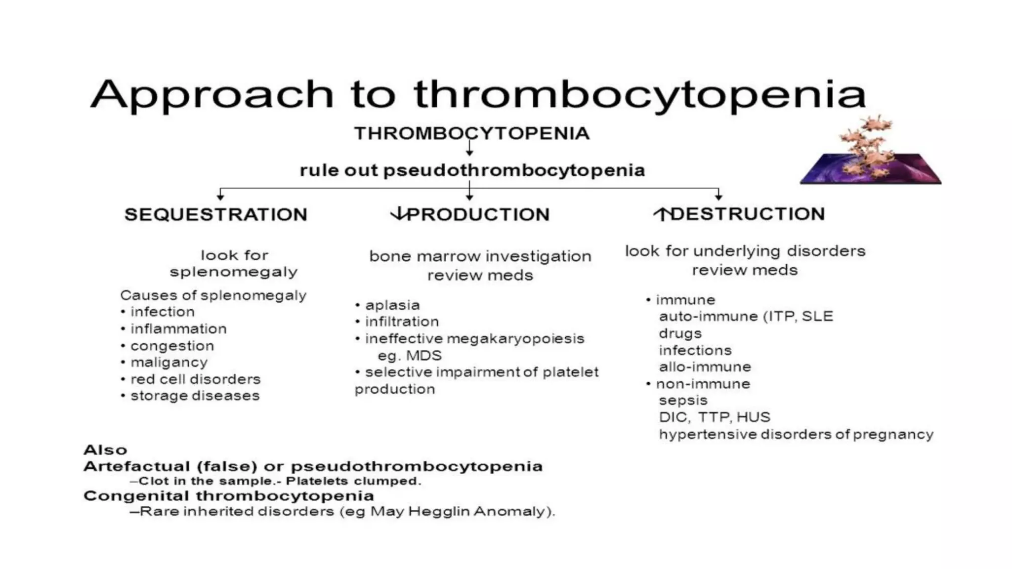 ITP (Immune Thrombocytopenia) | PPTX