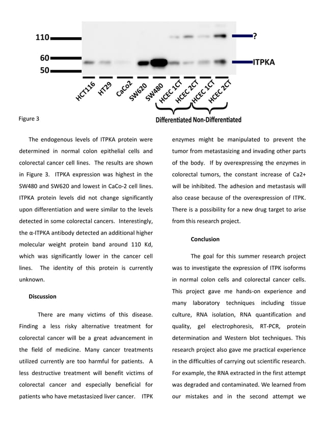 The expression of ITPK in normal colon and colorectal cancer cells ...