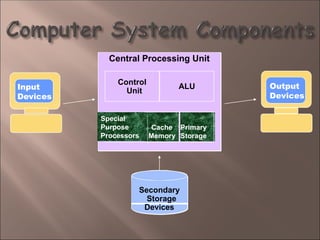 IT ppt (computer memory and its types in detail) | PPTX
