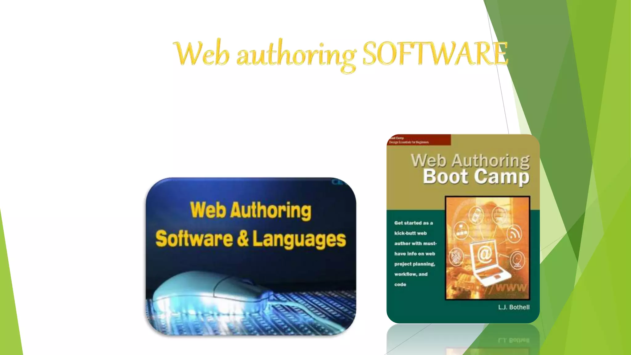 It presentation specialised application software | PPTX