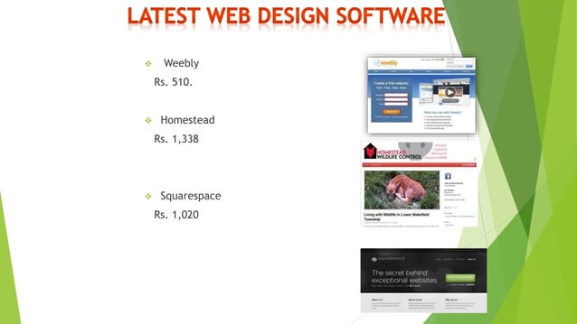 It presentation specialised application software | PPTX