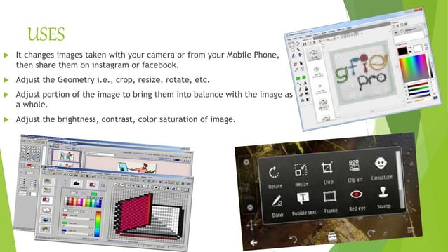 It presentation specialised application software | PPTX