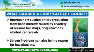 Itp treatment in ayurveda, increase low platelet count naturally | PPT