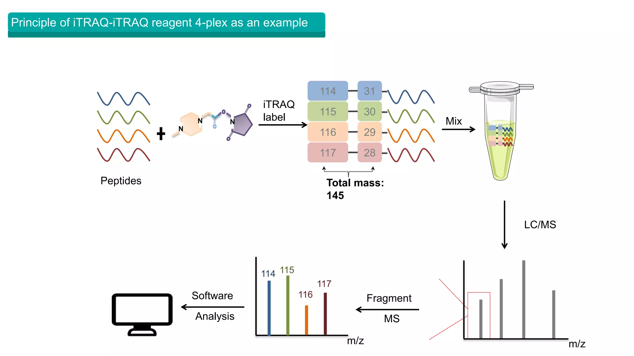 Mass Spectrometry-Based Proteomics Quantification: iTRAQ | PPTX