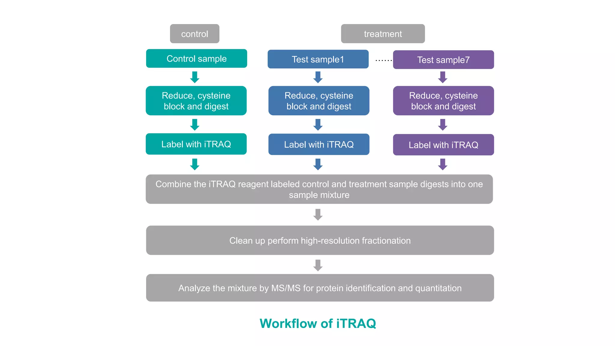 Mass Spectrometry-Based Proteomics Quantification: iTRAQ | PPTX
