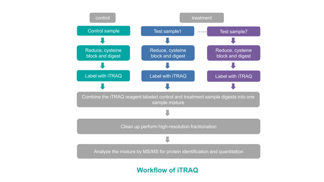 Mass Spectrometry-Based Proteomics Quantification: iTRAQ | PPTX