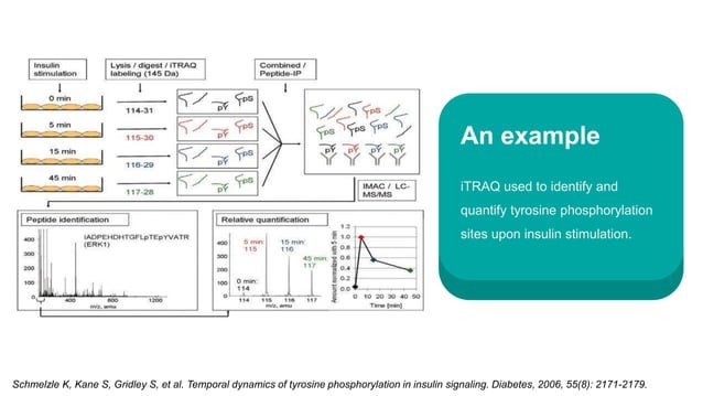 Mass Spectrometry-Based Proteomics Quantification: iTRAQ | PPTX