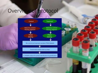 iTRAQ .pptx