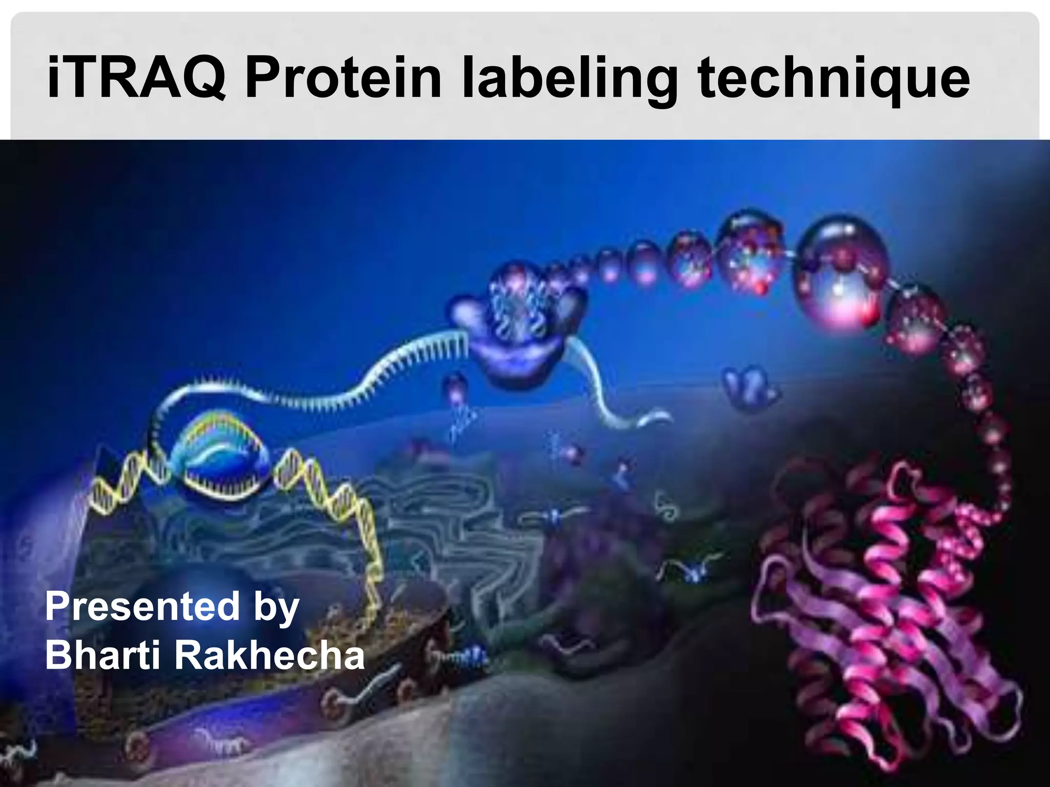 itraq protein quatification technique | PPT