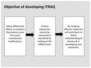 itraq protein quatification technique | PPT