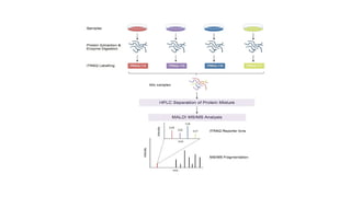 Itraq proteomics | PPT