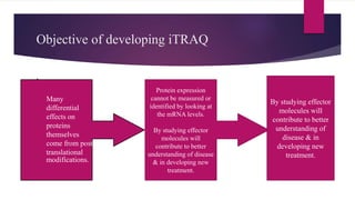 iTRAQ Technique | PPTX