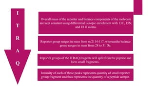 iTRAQ Technique | PPTX