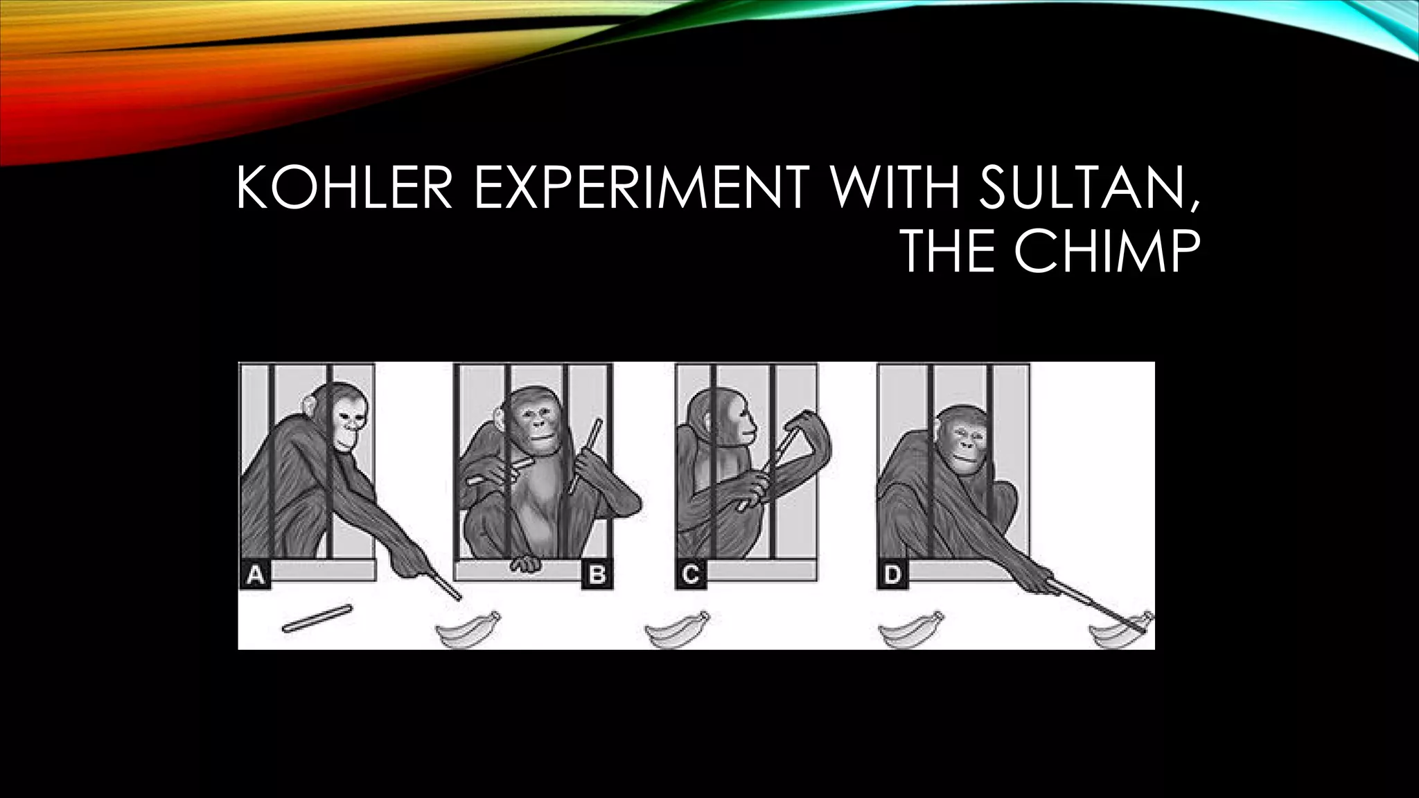 Behaviorism in Psychology | PDF